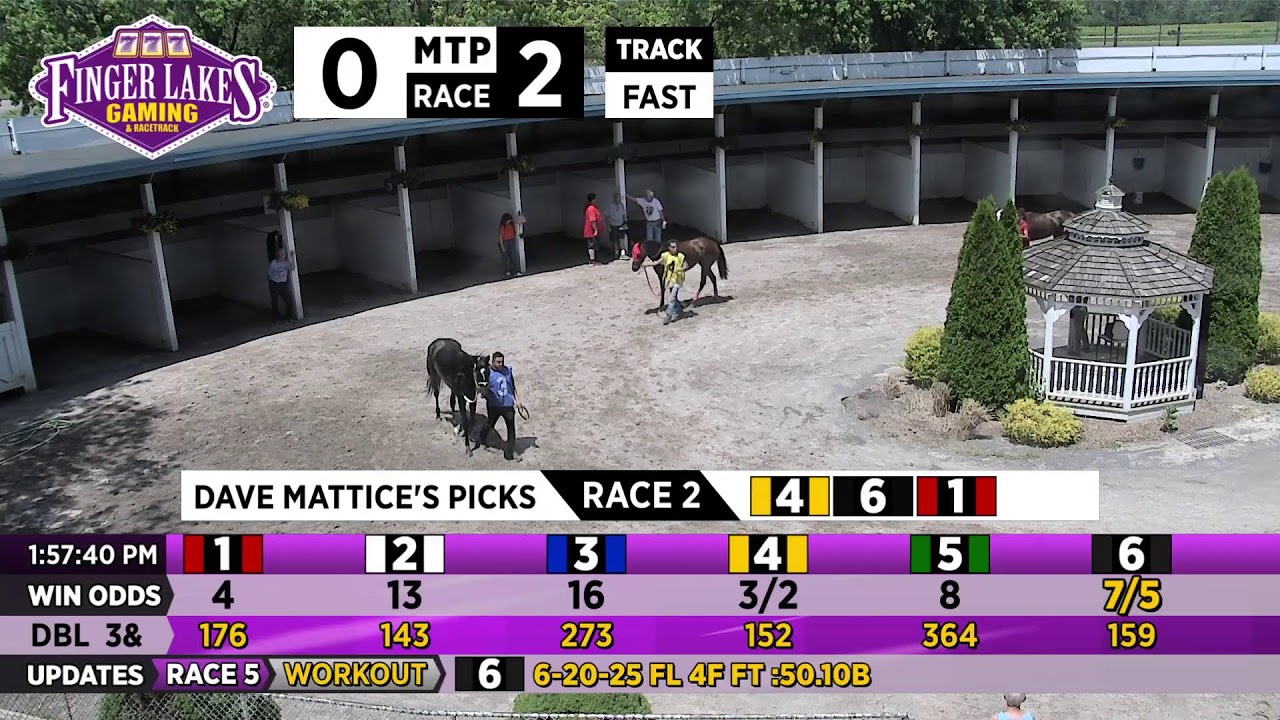 Finger Lakes Racing – June 24th, 2025 - Total Horse Channel | Equestrian TV