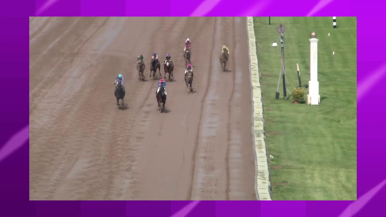 Finger Lakes Racing – June 9th, 2025 - Total Horse Channel | Equestrian TV