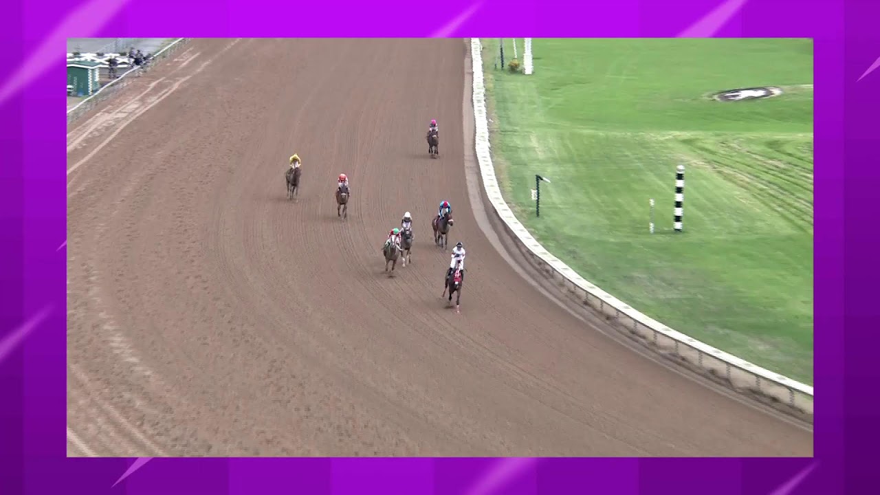 Finger Lakes Racing | May 13th, 2024 - Total Horse Channel | Equestrian TV