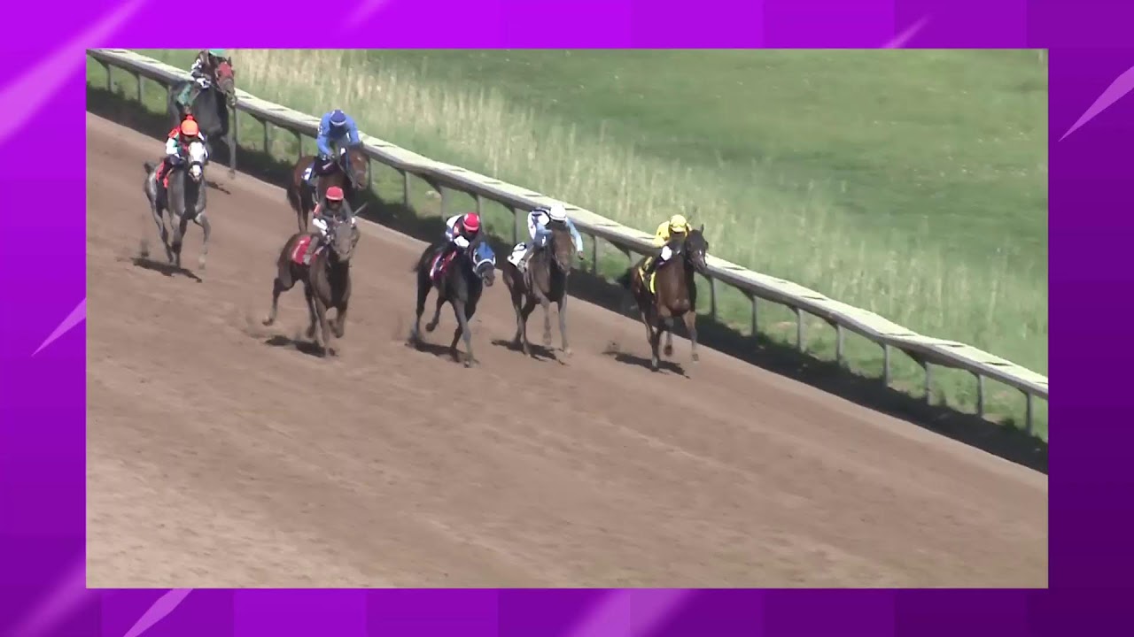 Finger Lakes Racing – May 19th, 2025 - Total Horse Channel | Equestrian TV