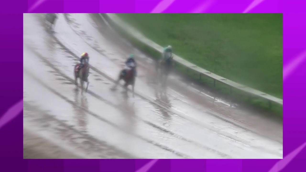 Finger Lakes Racing – May 21sth, 2025 - Total Horse Channel | Equestrian TV