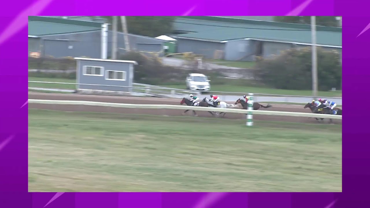 Finger Lakes Racing | October 23rd, 2024 - Total Horse Channel ...