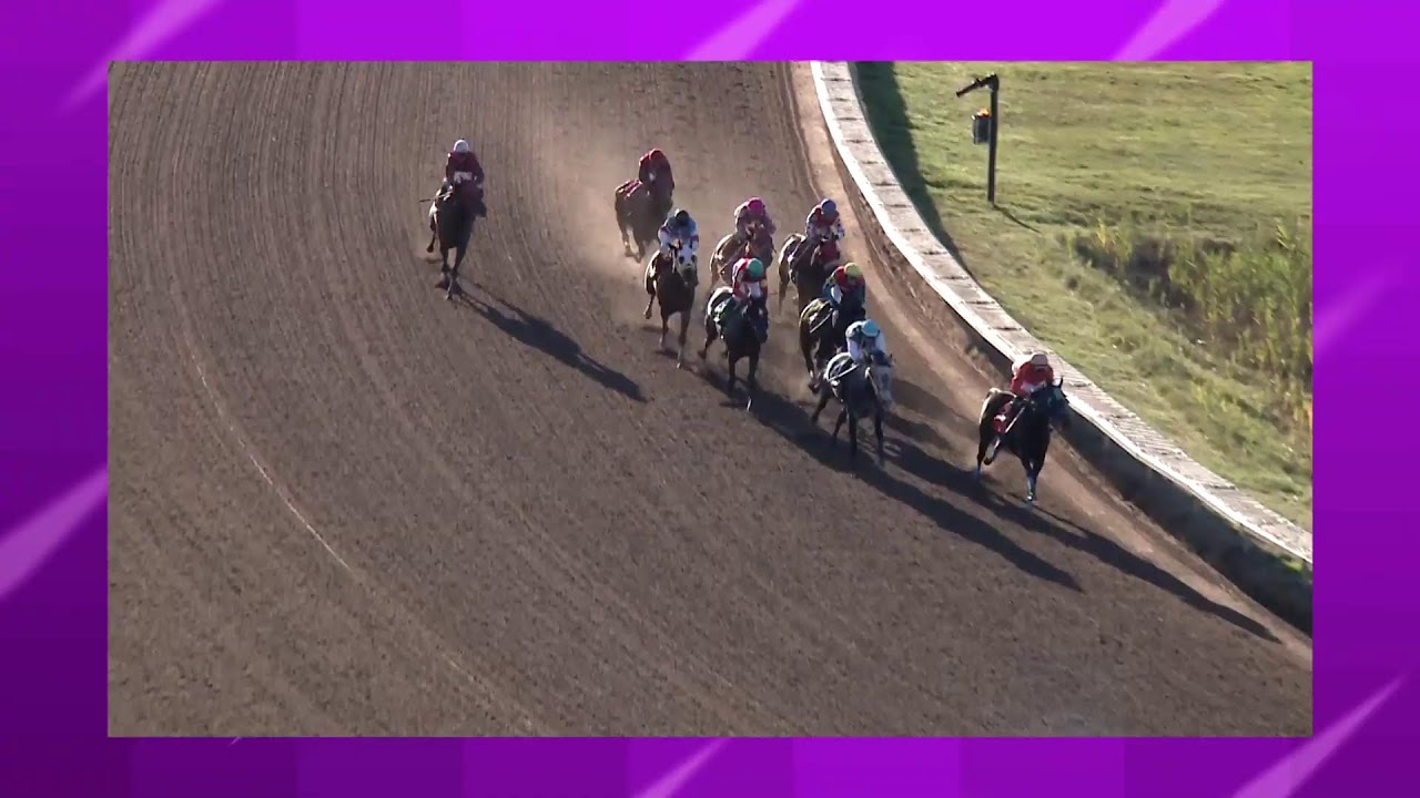 Finger Lakes Racing – October 27th, 2025 - Total Horse Channel ...