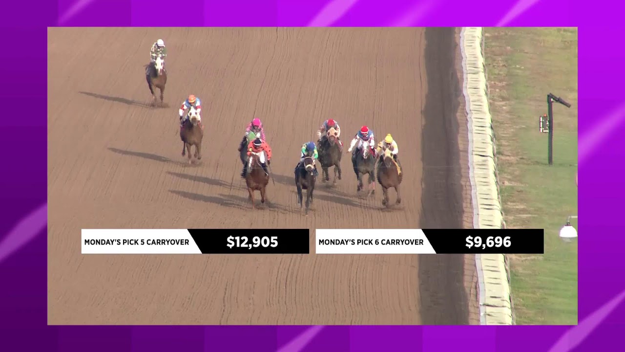 Finger Lakes Racing | October 30th, 2024 - Total Horse Channel ...