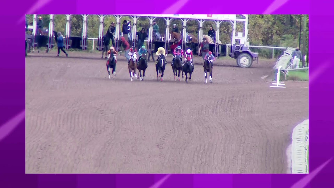 Finger Lakes Racing | October 9th, 2024 - Total Horse Channel ...