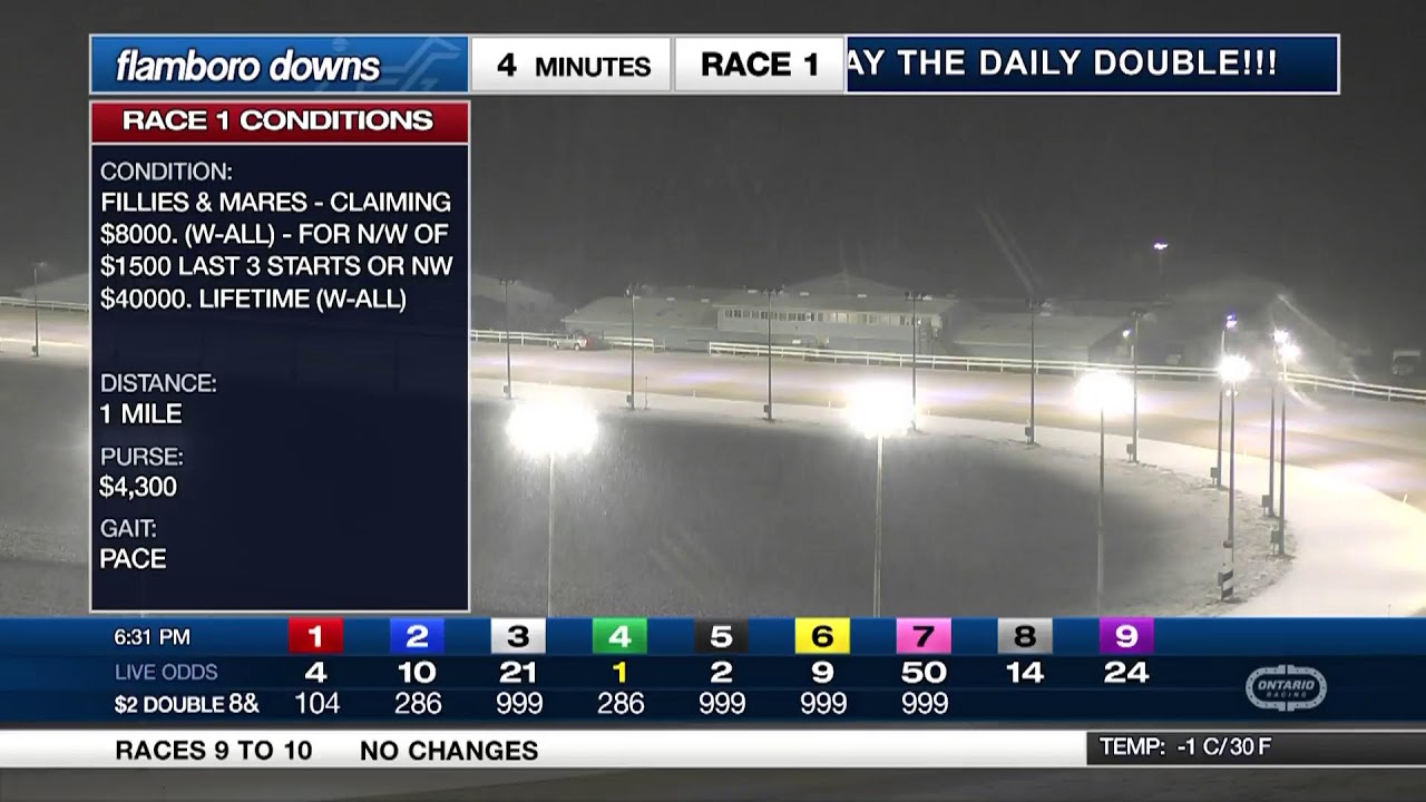 Flamboro Downs | January 6th, 2024 - Total Horse Channel | Equestrian TV