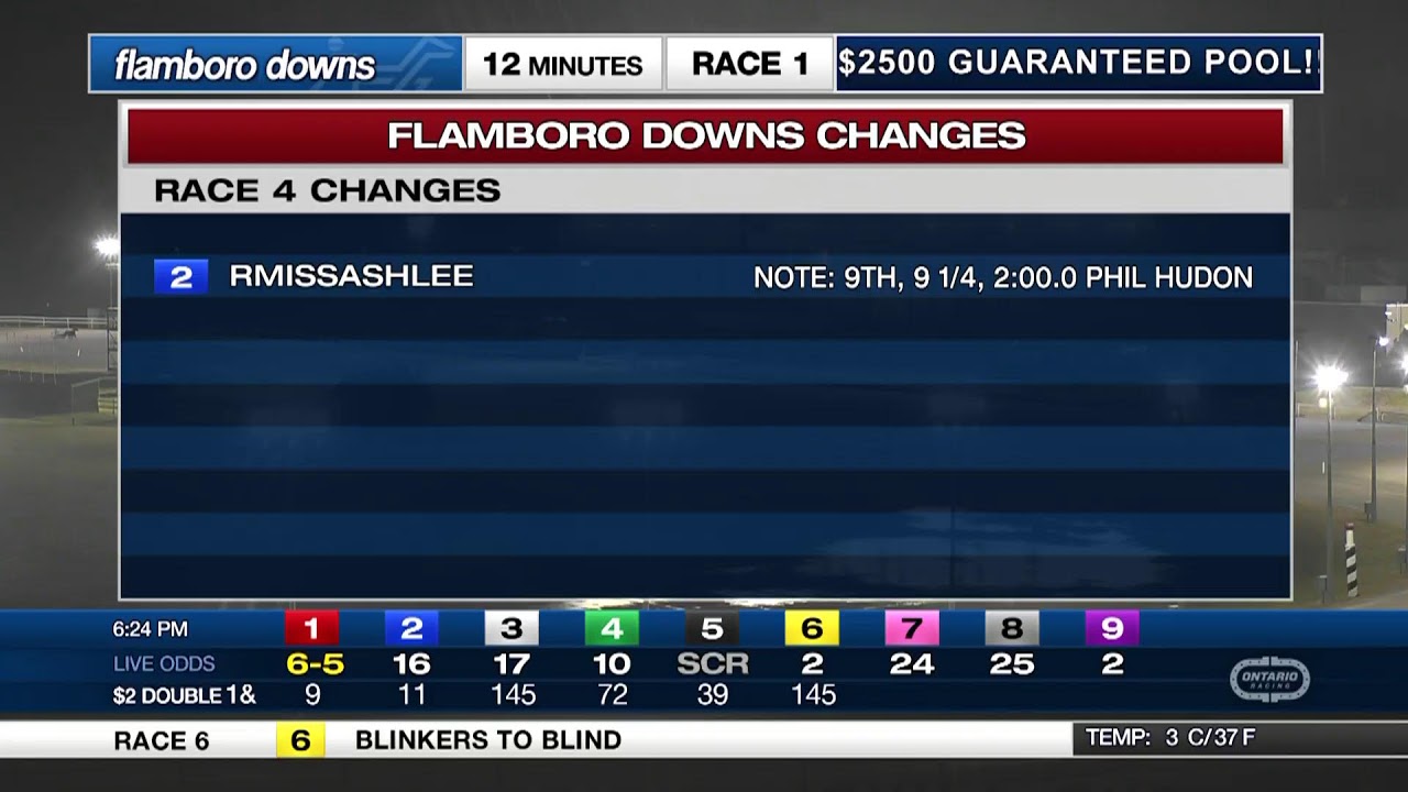 Flamboro Downs Live Stream 02/03/2024 - Total Horse Channel | Equestrian TV