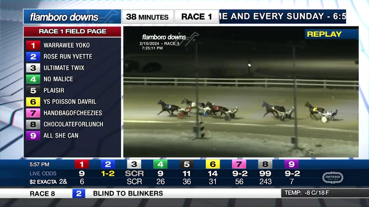 Flamboro Downs Live Stream 02/17/2024 - Total Horse Channel | Equestrian TV