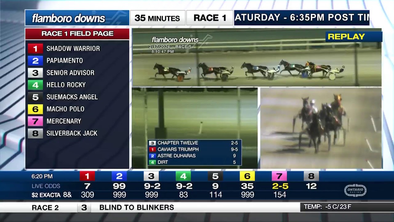 Flamboro Downs Live Stream 02/18/2024 - Total Horse Channel | Equestrian TV