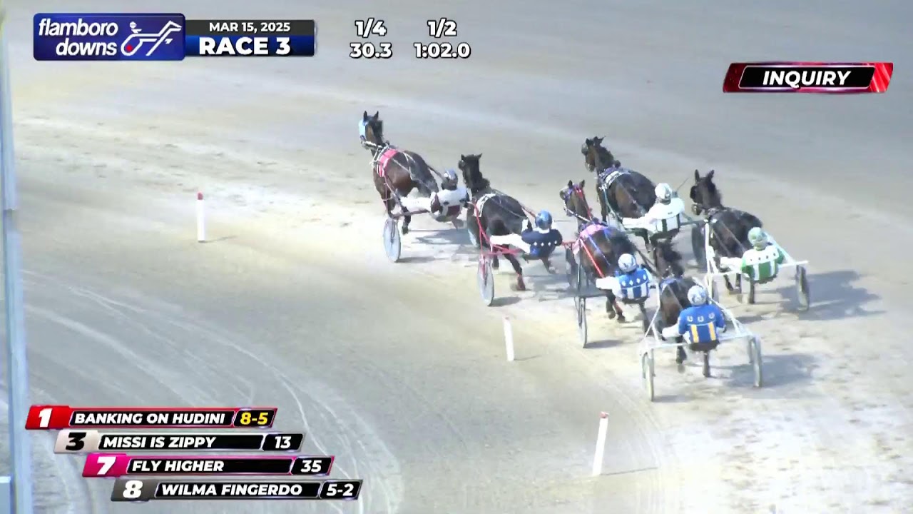 Flamboro Downs Live Stream 03/15/2025 - Total Horse Channel | Equestrian TV