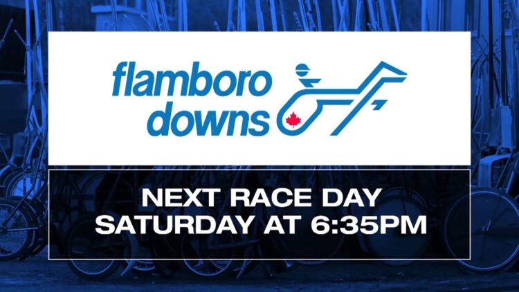 LIVE Events - Total Horse Channel | Equestrian TV