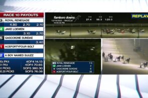 LIVE Events - Total Horse Channel | Equestrian TV