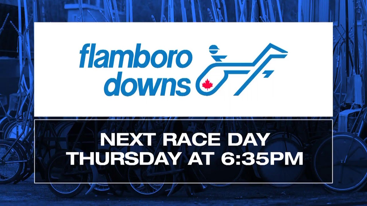 Flamboro Downs Live Stream 12/27/2023 - Total Horse Channel | Equestrian TV