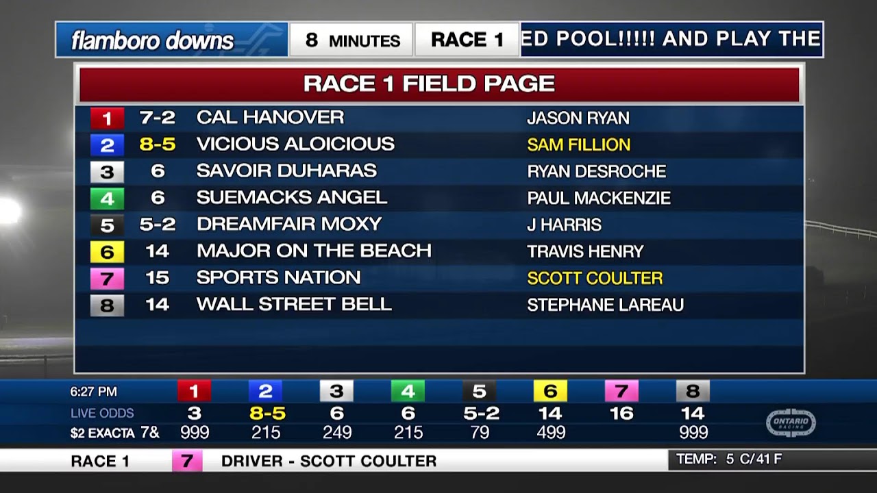 Flamboro Downs Live Stream 12/28/2023 - Total Horse Channel | Equestrian TV