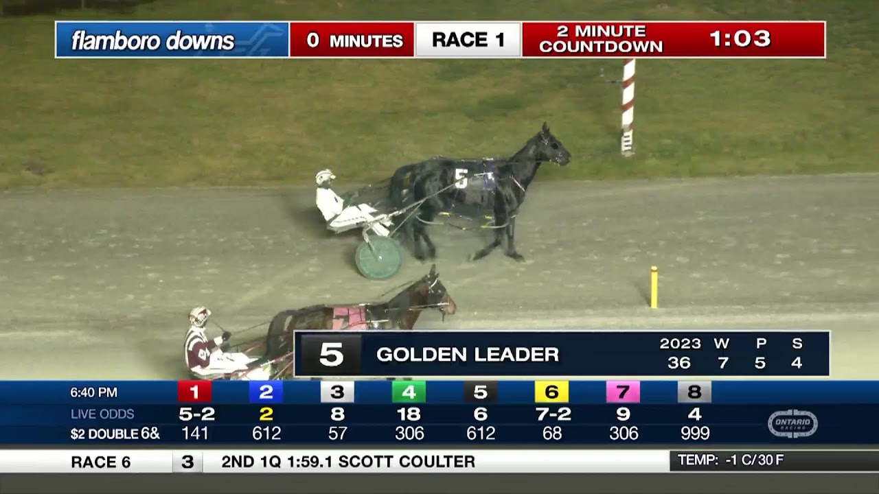 Flamboro Downs Live Stream 12/30/2023 - Total Horse Channel | Equestrian TV