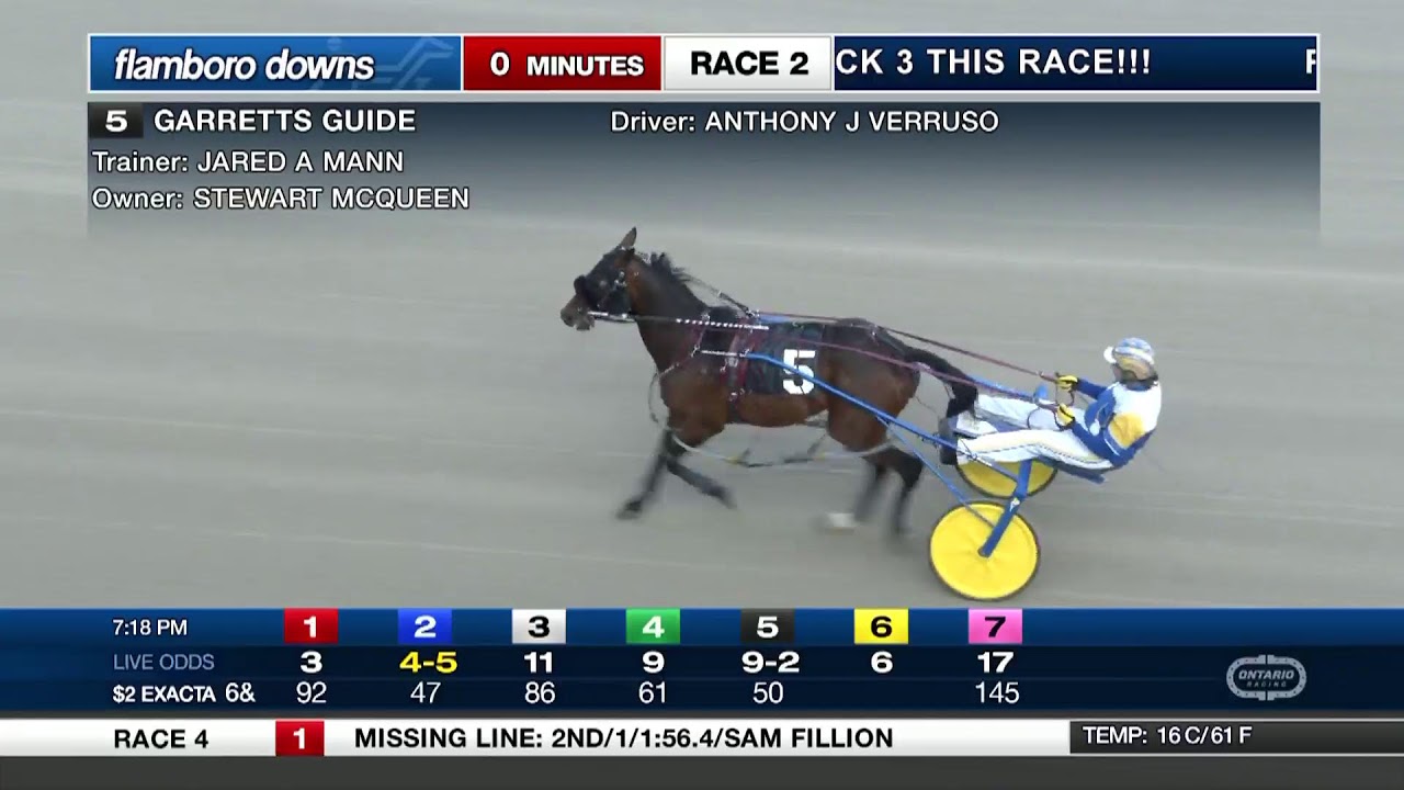 Flamboro Downs Live Stream | May 12th, 2024 - Total Horse Channel ...