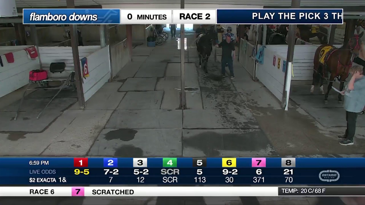 Flamboro Downs Live Stream | May 16th, 2024 - Total Horse Channel ...