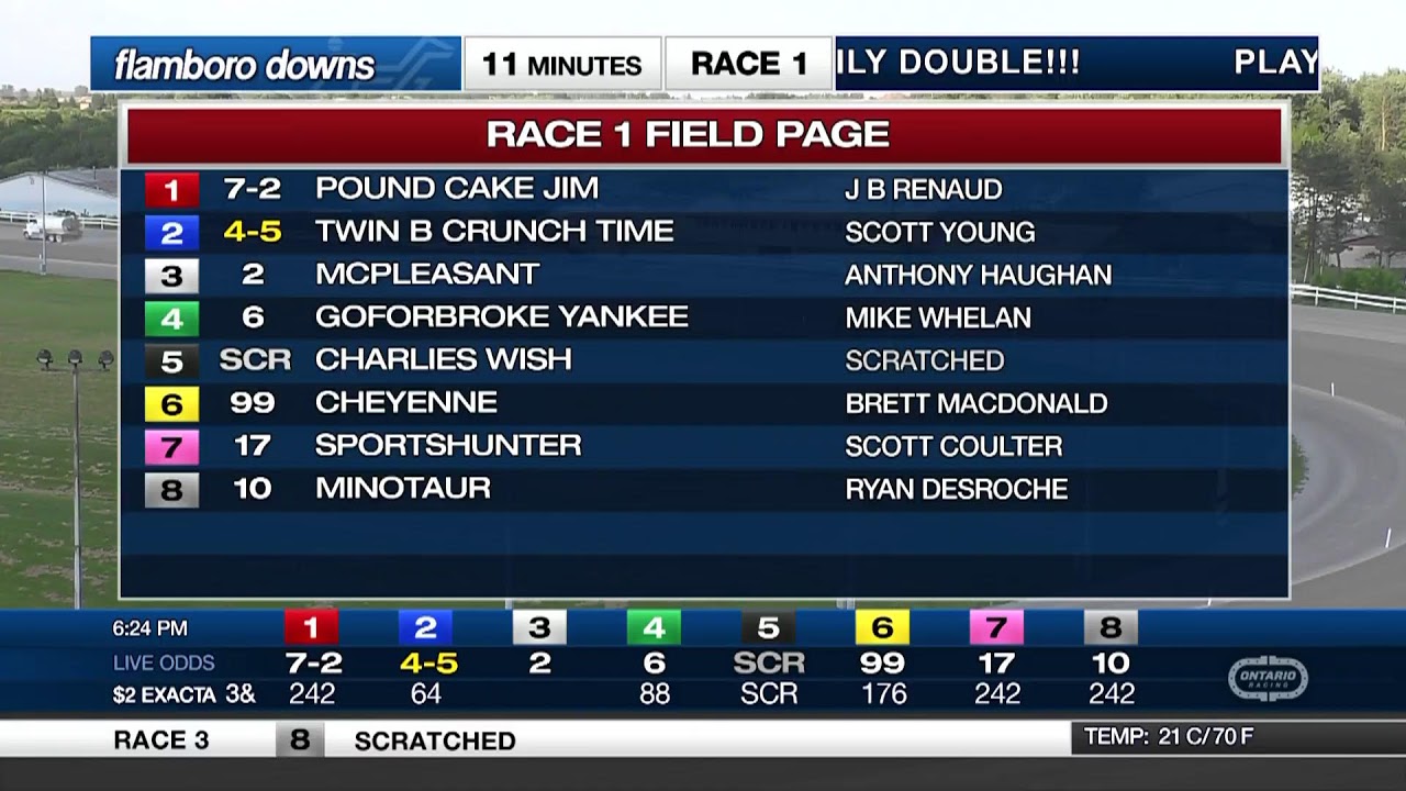 Flamboro Downs Live Stream | May 23rd, 2024 - Total Horse Channel ...