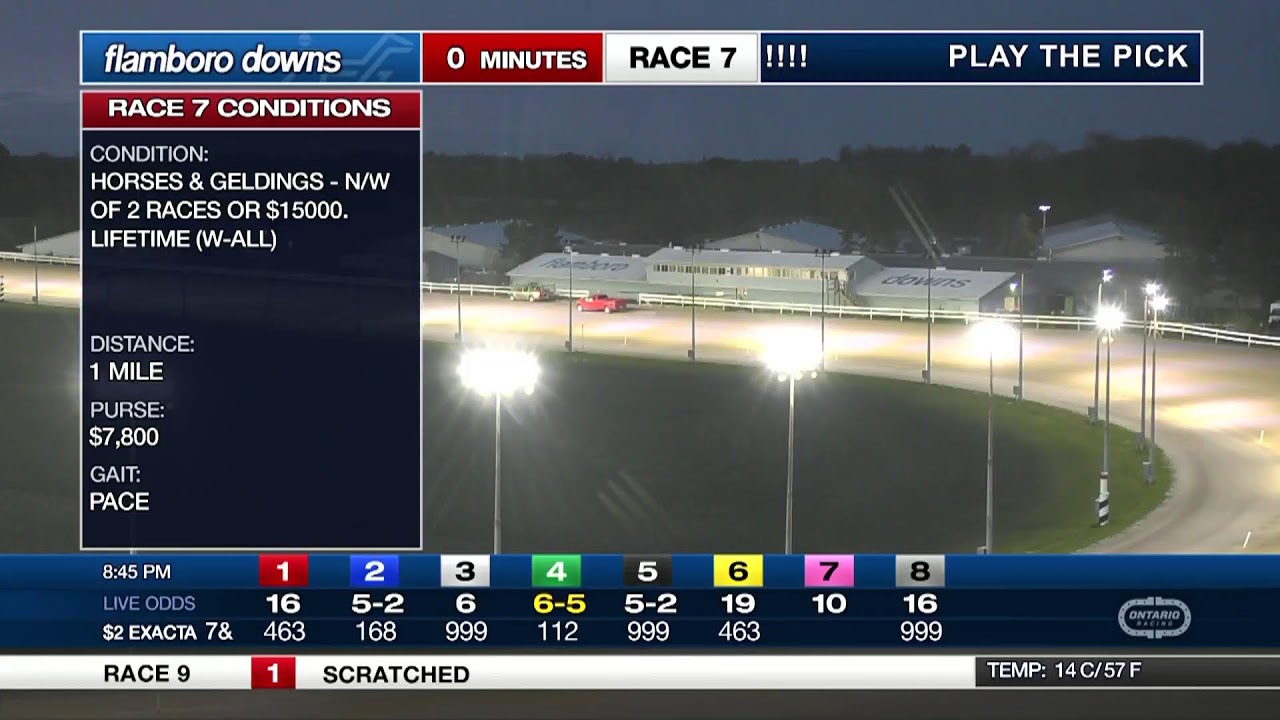 Flamboro Downs Live Stream | May 9th, 2024 - Total Horse Channel ...