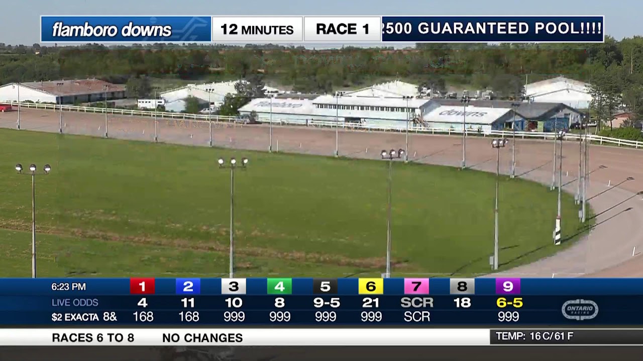 Flamboro Downs | May 30th, 2024 - Total Horse Channel | Equestrian TV