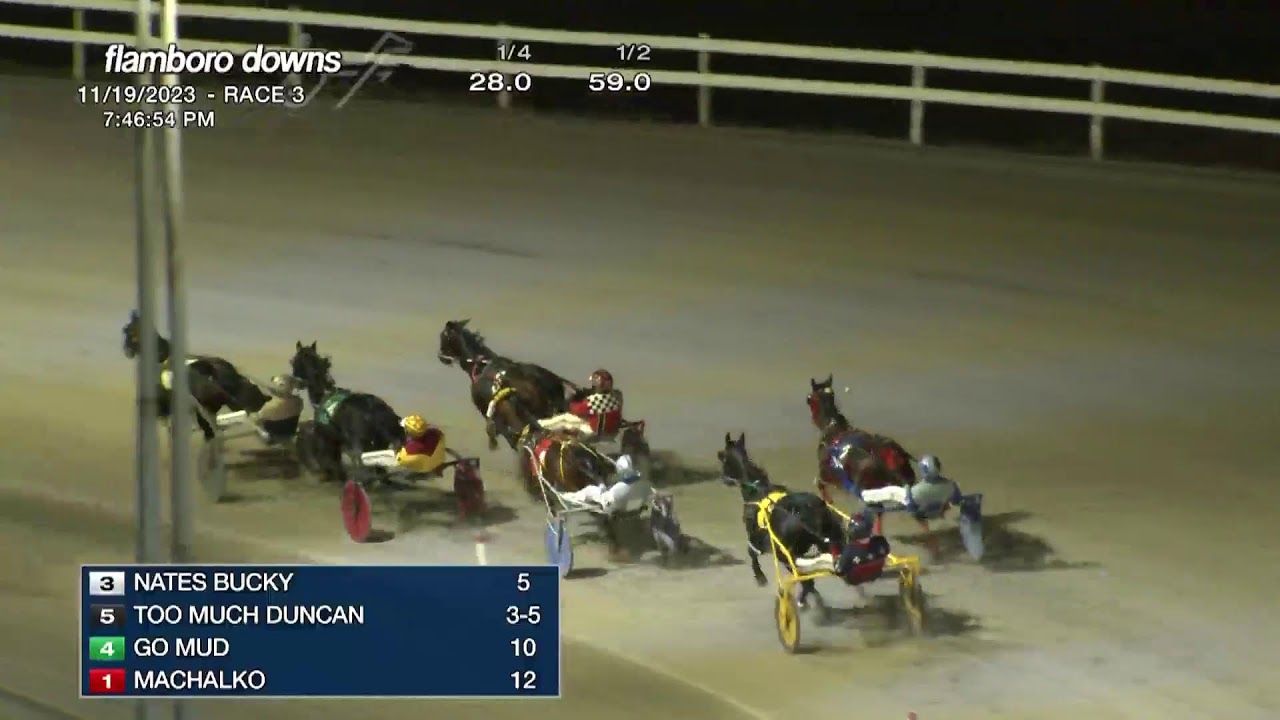 Flamboro Downs | November 19th, 2023 - Total Horse Channel | Equestrian TV