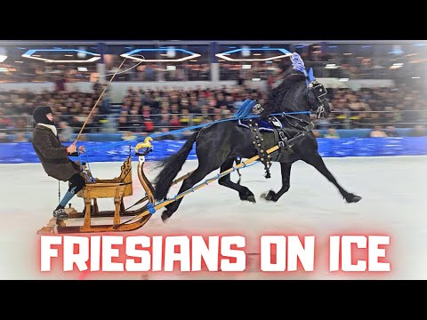 Friesians On Ice!! Wow! This is beautiful 😍 Who will be champion ...