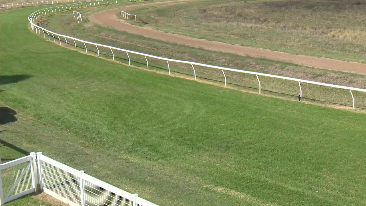 🎥 Goondiwindi Live Streaming for Saturday 22nd Feb, 2025 🎥 - Total ...