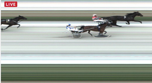 Slovenian Harness Racing | LIVE - Total Horse Channel | Equestrian TV