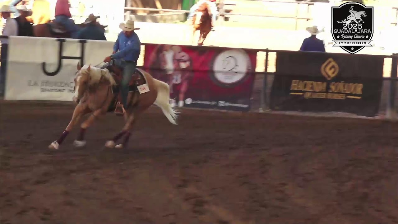 Guadalajara Reining Classic – Total Horse Channel | Equestrian TV