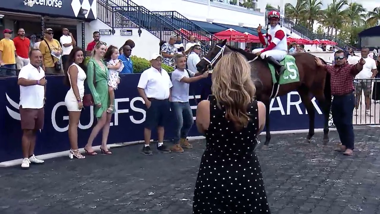 Gulfstream Park – August 10th, 2025 - Total Horse Channel | Equestrian TV