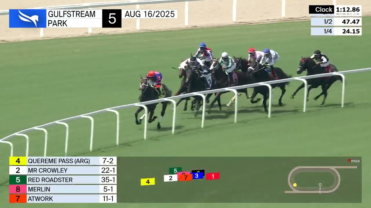 Gulfstream Park – August 16th, 2025 - Total Horse Channel | Equestrian TV
