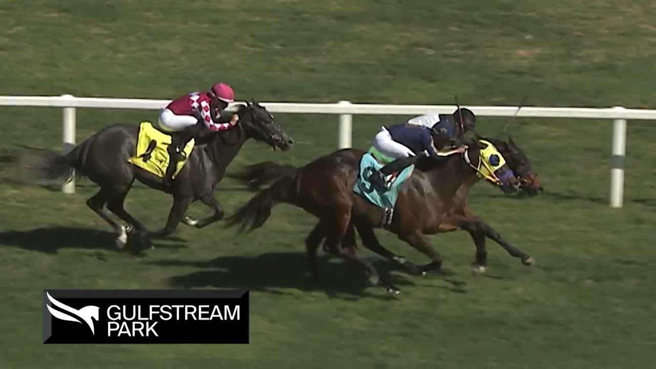 Gulfstream Park | February 2nd, 2023 - Total Horse Channel | Equestrian TV