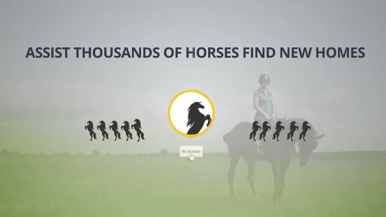 Gulfstream Park | July 15th, 2023 - Total Horse Channel | Equestrian TV