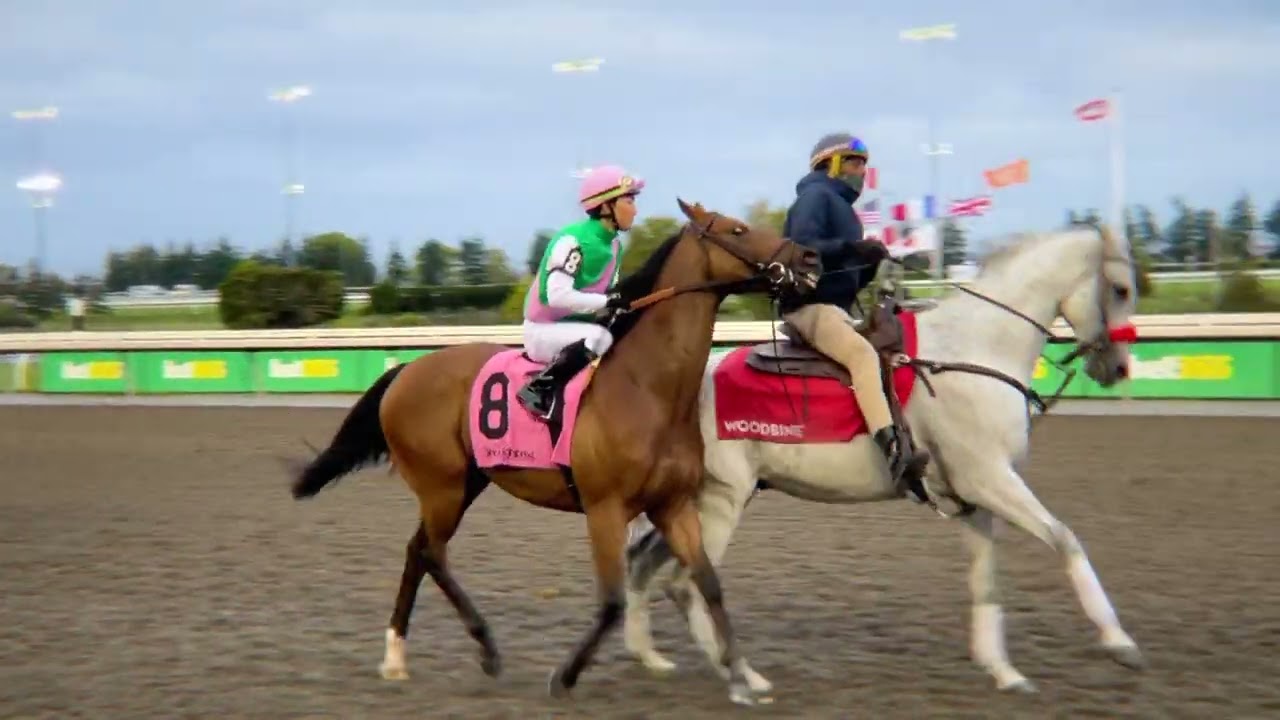 Gulfstream Park | July 19th, 2024 - Total Horse Channel | Equestrian TV