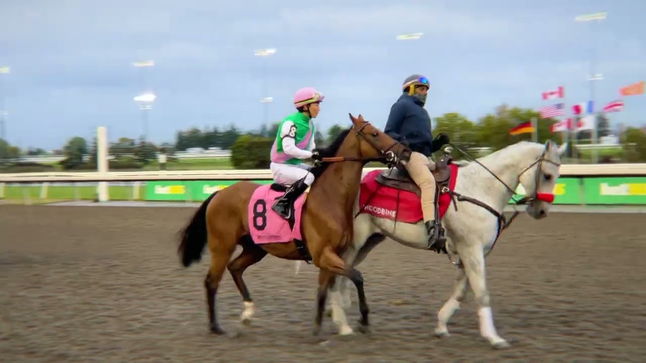 Gulfstream Park | July 5th, 2024 - Total Horse Channel | Equestrian TV