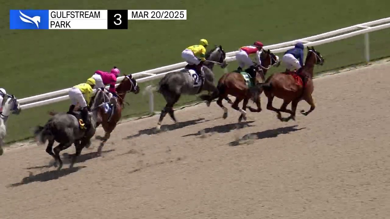 Gulfstream Park | March 20th, 2025 - Total Horse Channel | Equestrian TV