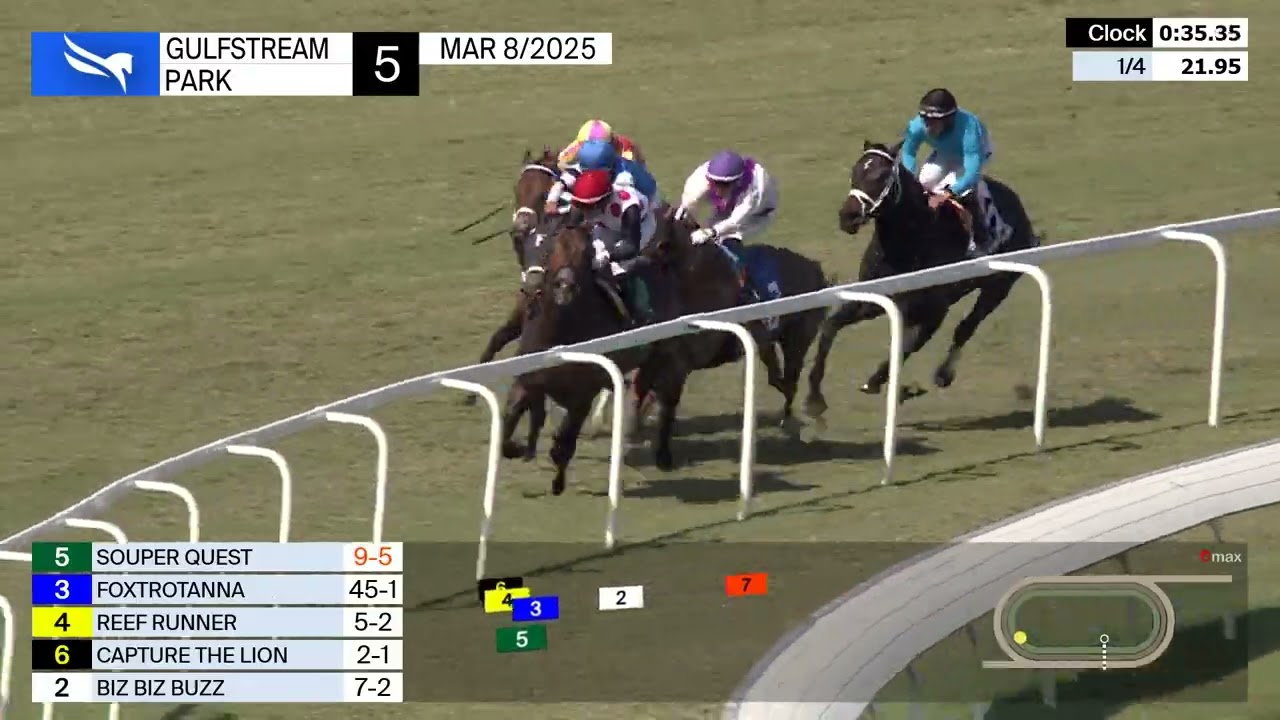Gulfstream Park | March 8th, 2025 - Total Horse Channel | Equestrian TV