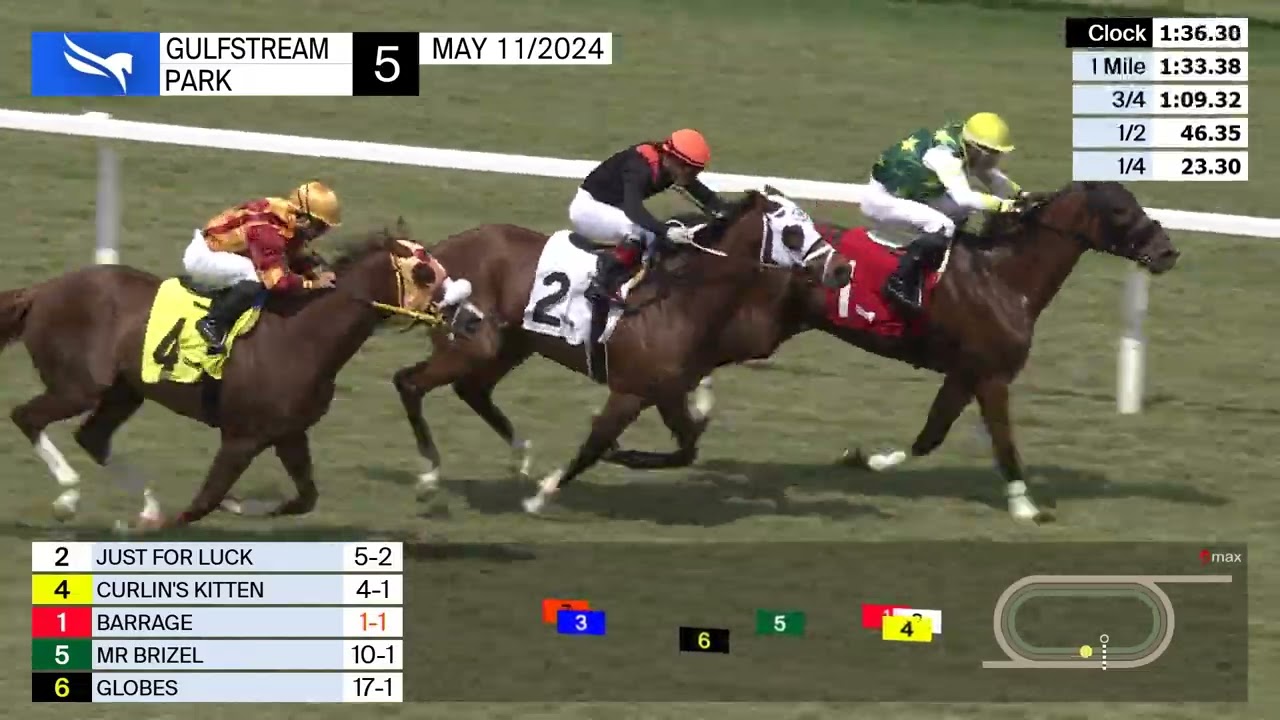 Gulfstream Park | May 10th, 2024 - Total Horse Channel | Equestrian TV