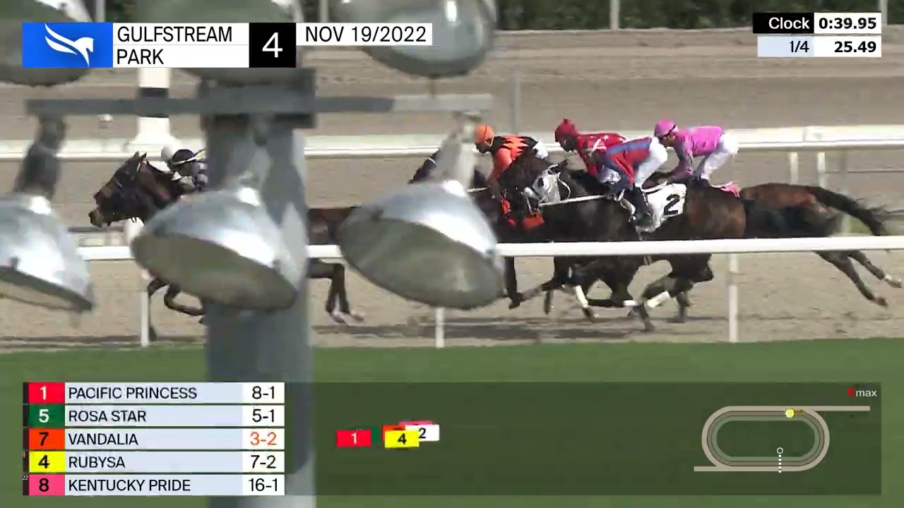 Gulfstream Park Replay Show | November 19th, 2022 - Total Horse Channel ...