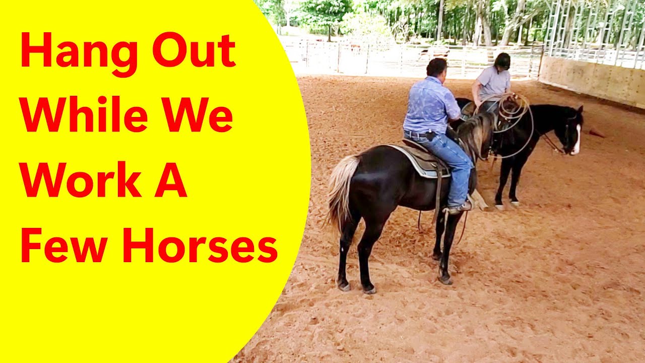 Hang out and watch us work some horses - Total Horse Channel ...