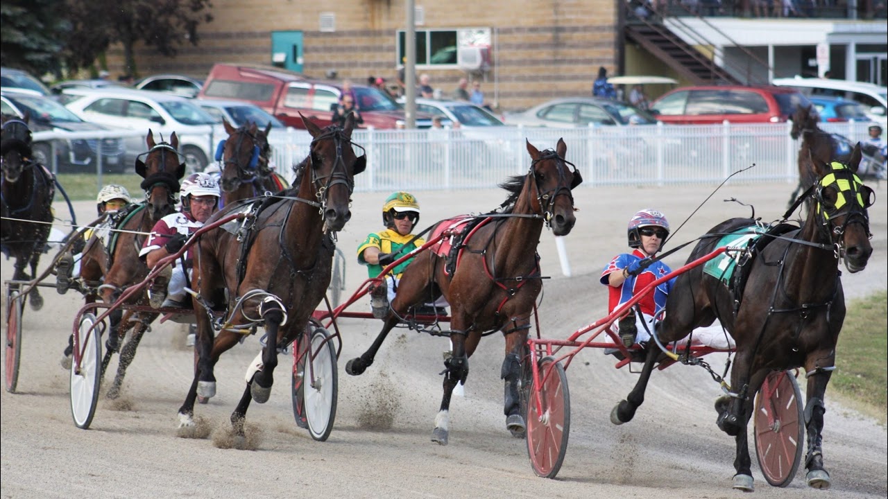 Hanover Raceway | Live - Total Horse Channel | Equestrian TV