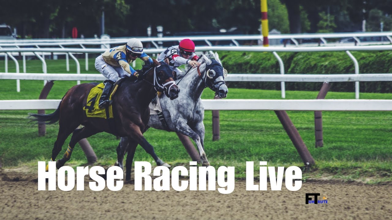 Horse Racing Live | February 16th, 2025 - Total Horse Channel ...