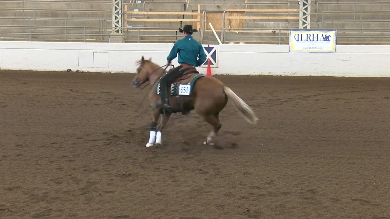 ILRHA State Fair Show | July 21st, 2023 - Total Horse Channel ...