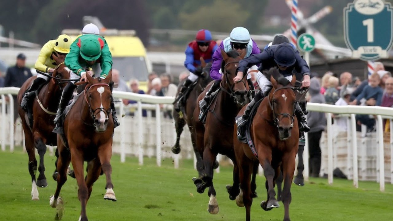 International Jockeys’ Challenge live from The Saudi Cup - Total Horse ...