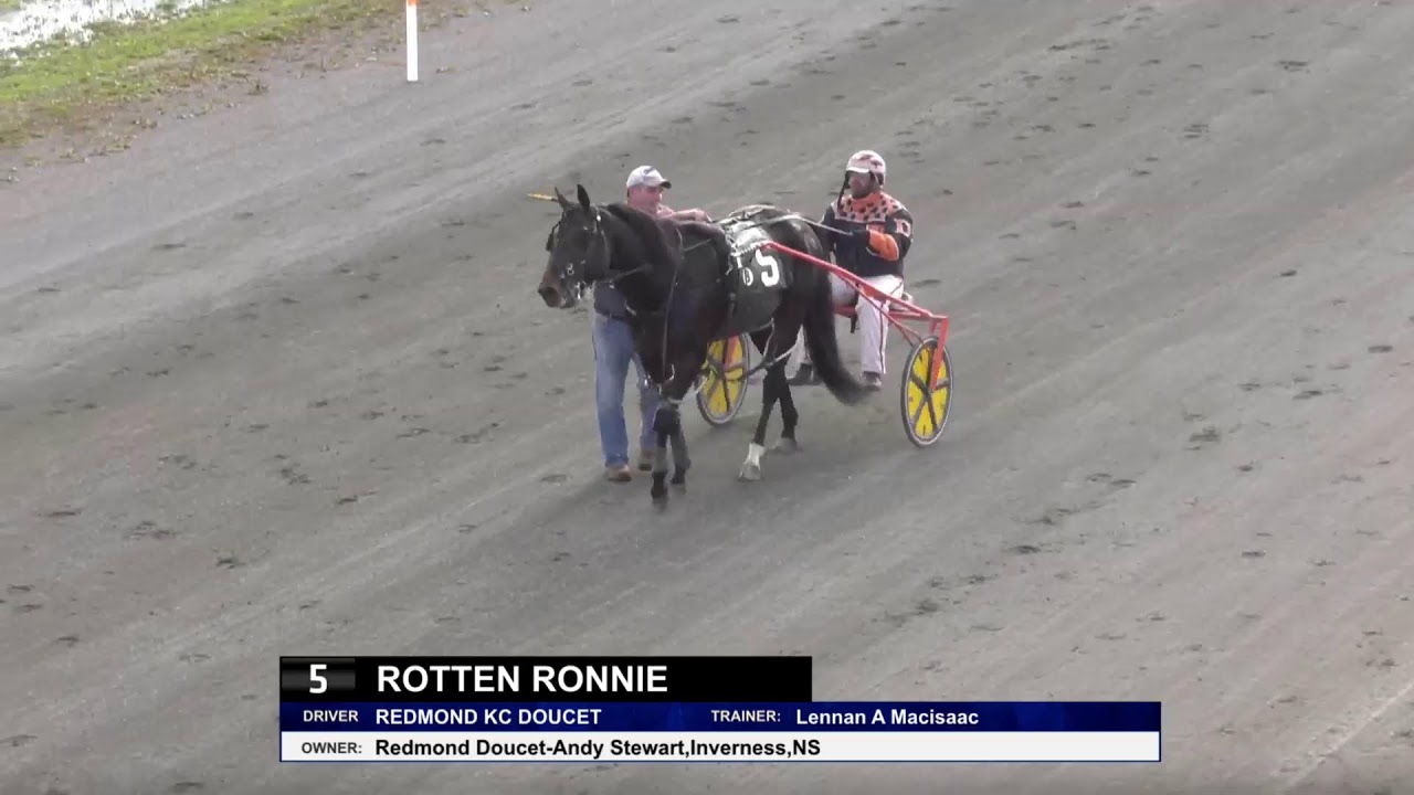 Inverness Raceway | October 15th, 2023 - Total Horse Channel ...