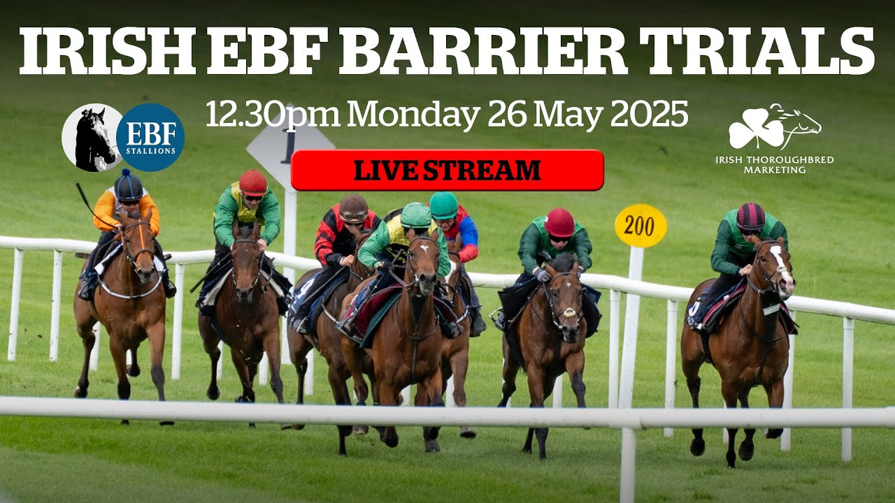 Irish EBF Barrier Trials 26 May 2025 – LIVE STREAM - Total Horse ...