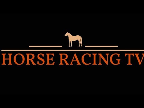 Irish Racing Live | December 3rd, 2023 - Total Horse Channel ...