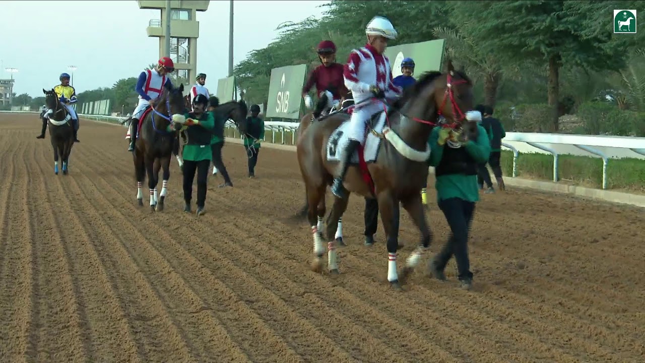 JCSA Racing | October 17th, 2024 - Total Horse Channel | Equestrian TV