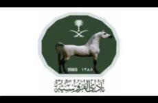 LIVE – Total Horse Channel | Equestrian TV