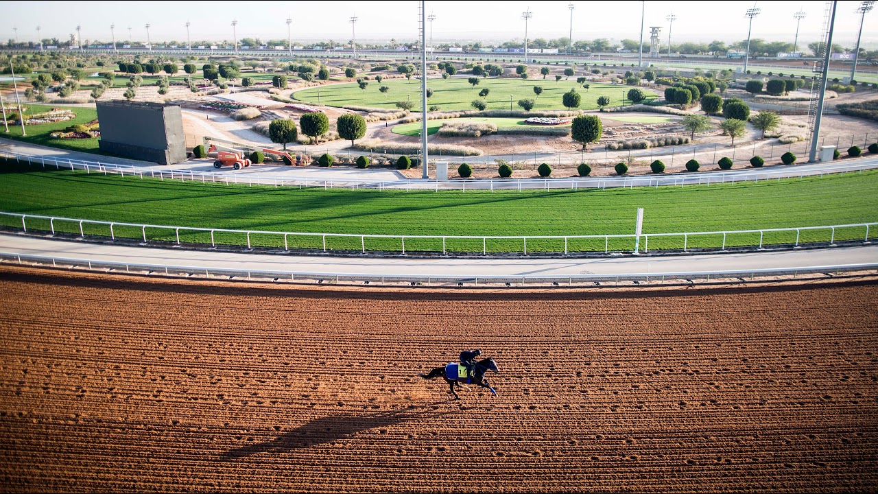 JCSA: TAIF RACING SEASON AUGUST 11th 2023 MEETING 29 - Total Horse ...